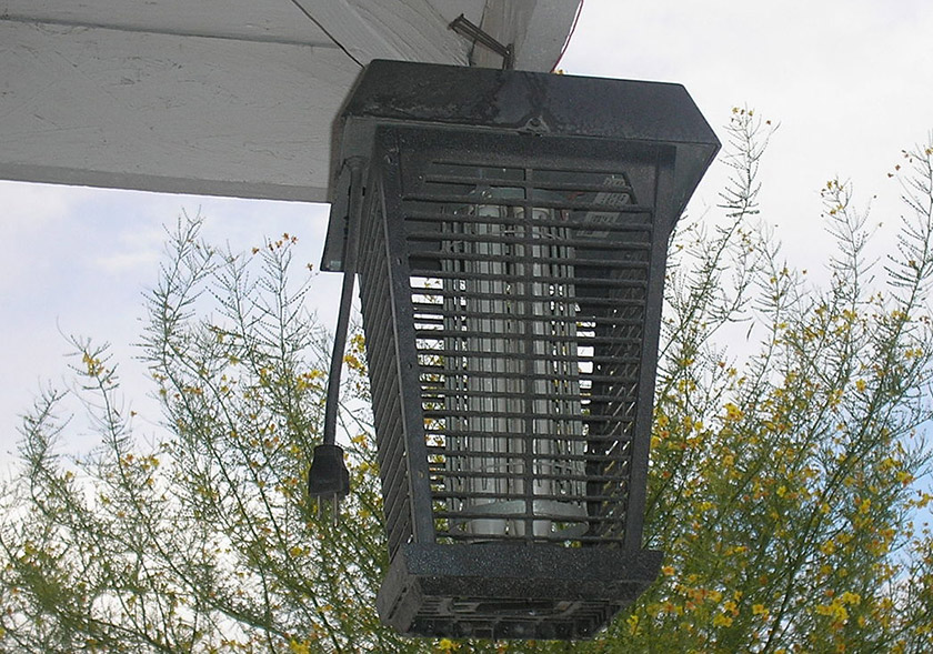 10 Best Bug Zappers in 2020 - According to an Exterminator