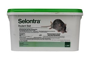 12 Best Rat Poisons in 2022 - According to an Exterminator
