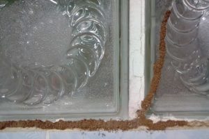 Termite Droppings: What do they look like? - Pest Control Gurus