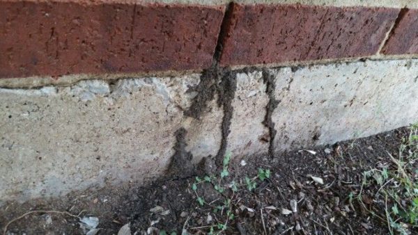 Termite Droppings: What do they look like? - Pest Control Gurus