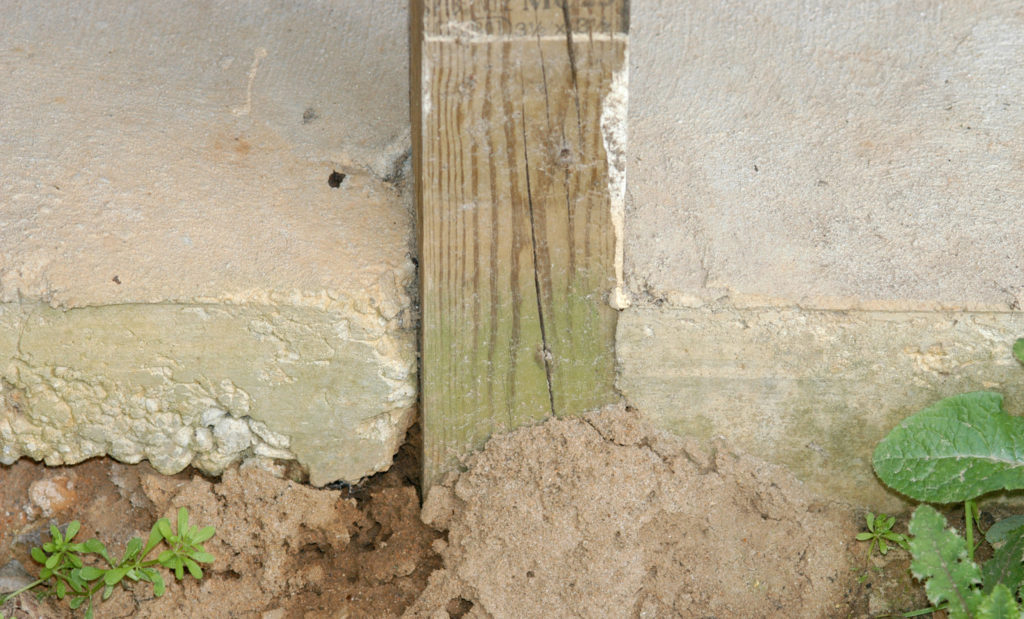 16 Termite Prevention Tips - Pest Control Gurus