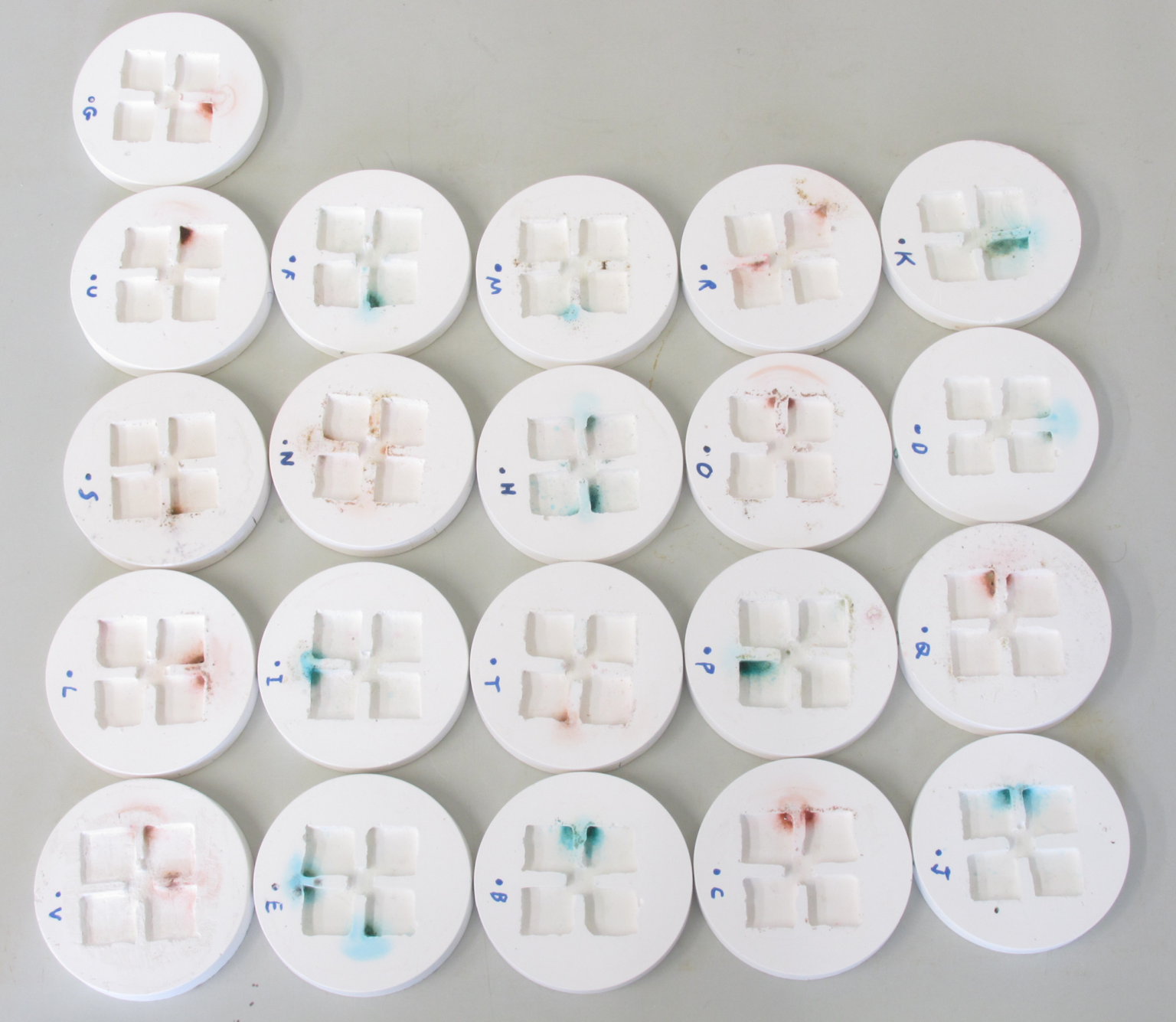 Do Ants Poop? - Pest Control Gurus