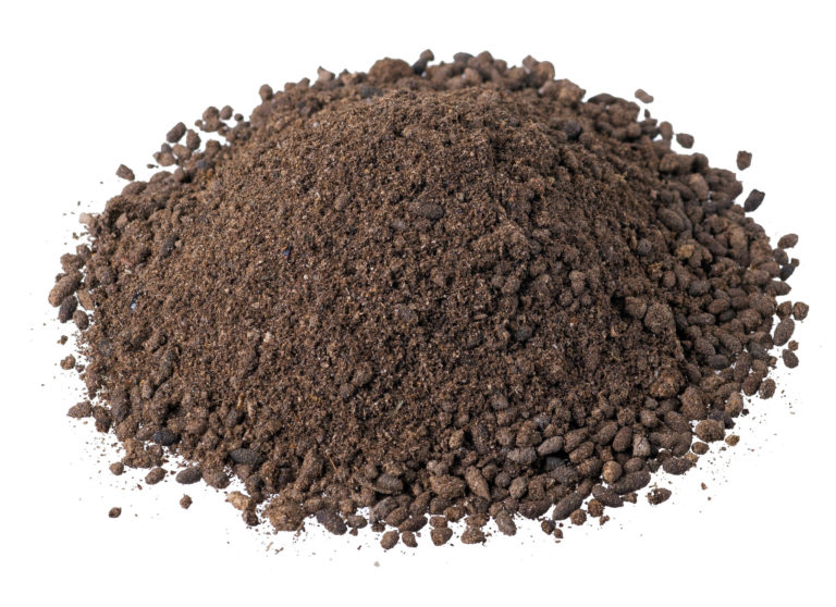 What does Bat Poop Look Like and How to Remove them - Pest Control Gurus